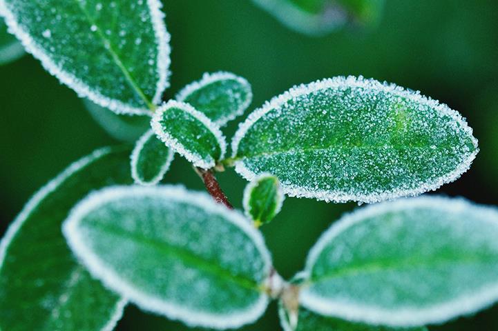 Opteon™ Products: HFO Refrigerants and Specialty Fluids